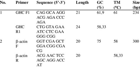 Primer Sequence Length Gc Content Temperature Melting Tm And Size Download Scientific