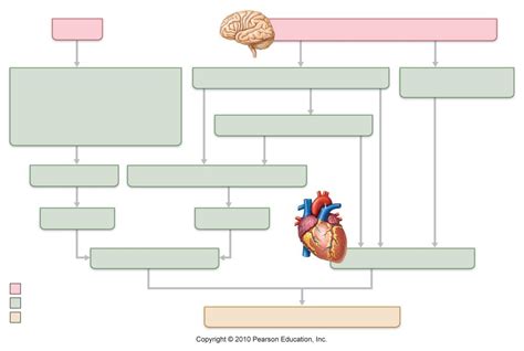 Diagram Pt 1 Diagram Quizlet