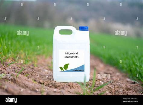 Microbial Inoculants Beneficial Microorganisms That Enhance Plant Growth And Health