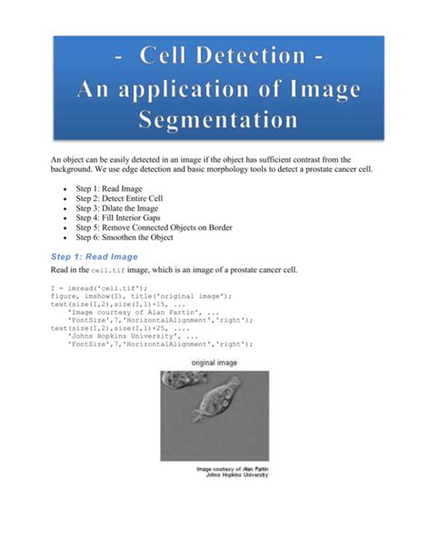 Cell Detection An Application Of Image
