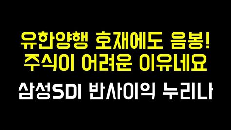 유한양행 국산 항암제 최초 미국fda 승인에도 음봉 삼성sdi 전기차 악재는 모두 반영되었다 Youtube
