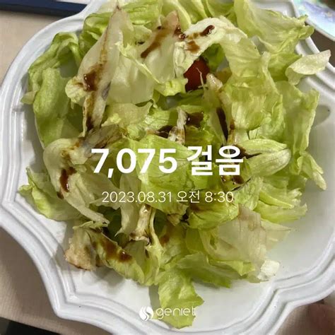 저칼로리 아침 식단 지니어트 커뮤니티