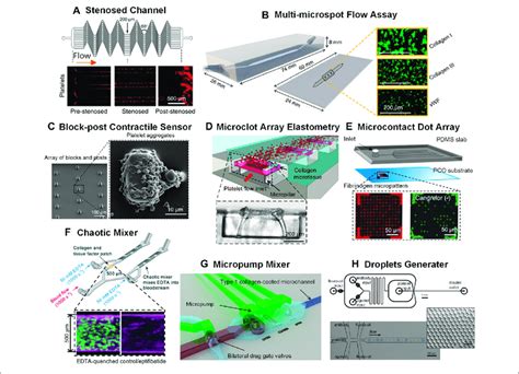 Novel Microfluidic Platforms As Point Of Care Test Of Platelet