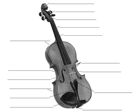 Stringed Instrument Parts At Leon Hendricks Blog