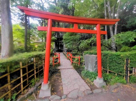 東京都 国分寺市 お鷹の道真姿の池湧水群 昭和の名水百選の旅 35100 鯉の予感