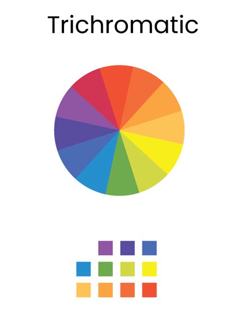Color Wheel Chart Perception Through Different Lenses