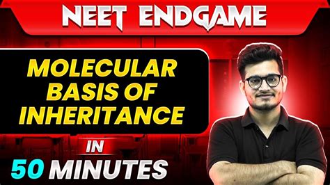 Molecular Basis Of Inheritance In 50 Minutes Neet 2024 Youtube