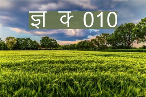 Kruti Dev 010 Font FFonts Net