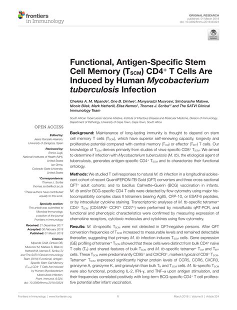 Pdf Functional Antigen Specific Stem Cell Memory Tscm Cd4 T Cells