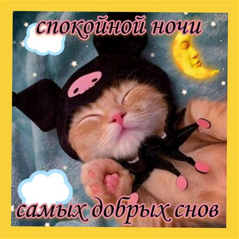 Спокойной ночи Спокойной ночи Ночь Кинг конг