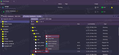 Mongodb Replica Set With Master Slave Replication And Automated Failover
