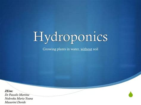 PPT Hydroponics PowerPoint Presentation Free Download ID 2082632