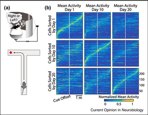 Figure From Causes And Consequences Of Representational Drift Semantic Scholar