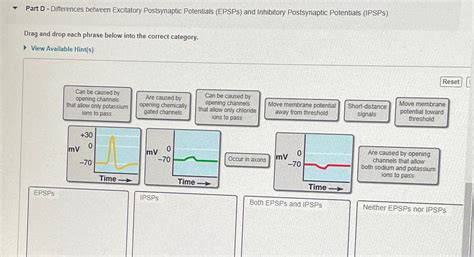 Solved Part D ﻿differences Between Excitatory Postsynaptic