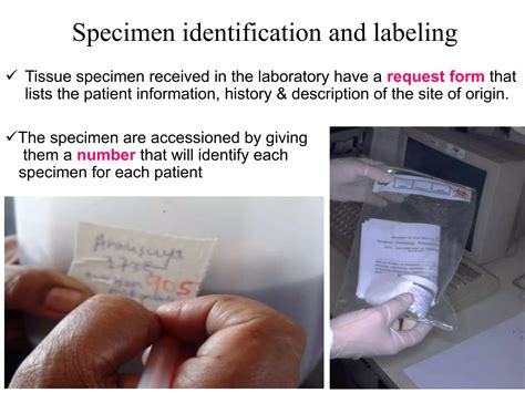 Histopathology Specimen Processing PPTX Chemistry Science