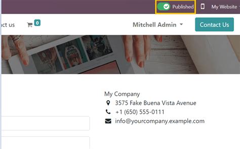 How To Create A New Payment Provider For Online Transactions In Odoo 16