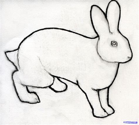 How To Sketch A Rabbit Step By Step Drawing Sheets Added By Finalprodigy January 10 2013