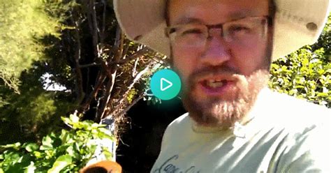 How To Retrieve Your Ball From The Neighbors Yard  On Imgur