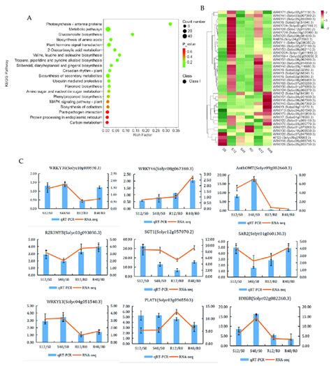 Enrichment Analysis And Qrt Pcr Validation Of Degs And Wrky Analysis