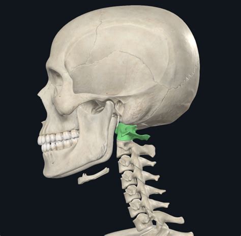 상부경추 부정렬과 이로 인한 증상 이수척한의원