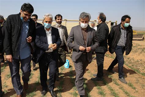 تیزر کوتاه طرح جهش تولید در دیمزارهای هلدینگ کشاورزی و صنایع غذایی ستاد