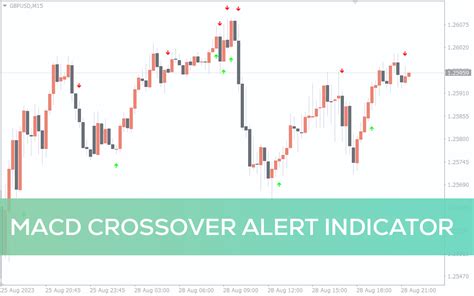MACD Crossover Alert Indicator MT Aierior