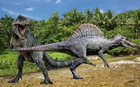 Spinosaurus Vs Giganotosaurus By Dreddzilla On Deviantart