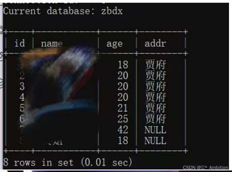 MySQL数据库基础入门与操作 CSDN博客