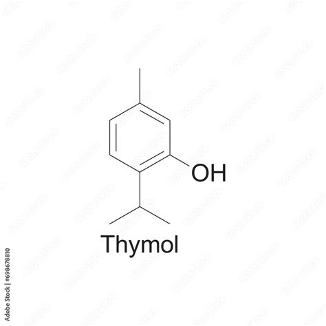Thymol Skeletal Structure Diagrammonoterpenoid Compound Molecule