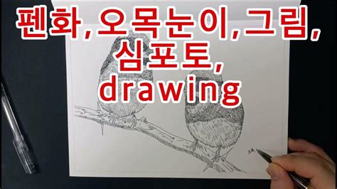 펜화 펜화 오목눈이 그림 Drawing 심포토 Youtube