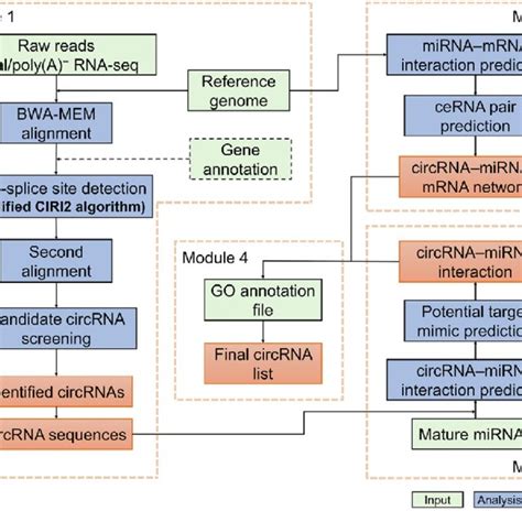 Workflow Of Circplant Circplant Consists Of Four Modules Circrna Download Scientific Diagram