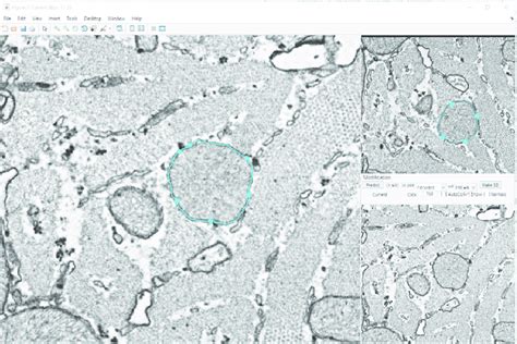 Screenshot Of The Matlab Based Gui Prototype That Consists Of A Main Download Scientific