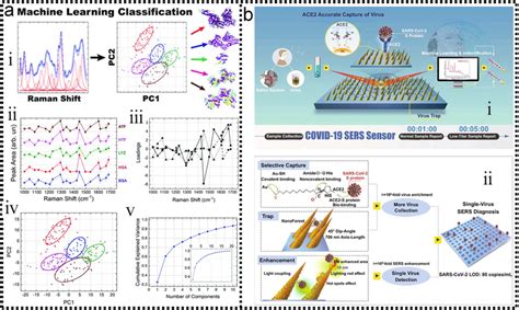 A Label Free Sers Detection Of Proteins Based On Machine Learning