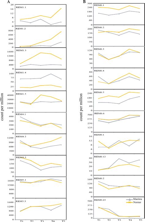 Digital Gene Expression Profiles Of Remorin Tarem Genes Based On The Download Scientific