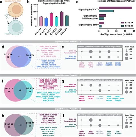 Single Nucleus Multiomics Reveals The Gene Regulatory Networks