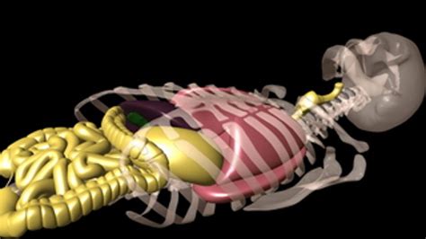 Sofa Simulation Framework Baci Living Room