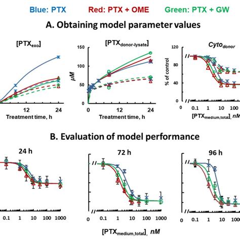 Model Parameter Estimation And Model Performance Evaluation A Model Download Scientific
