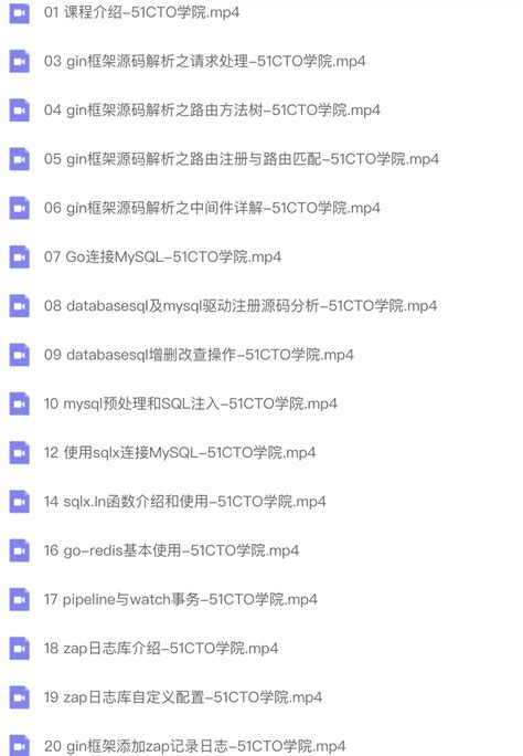 Go Web开发进阶项目实战（基于gin框架共81课时）轻松码