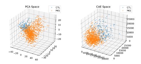 Localization Of The Subjects In The Latent Space Of Pca And The Cae