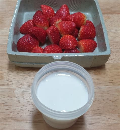플레인 요거트 만들어 먹어요 뉴스트림