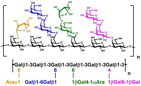 Arabinogalactan Larch Wood Polysaccharides Megazyme