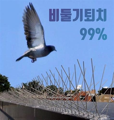 비둘기 퇴치 베란다 실외기 퇴치망 퇴치법 스틸 3미터 티몬