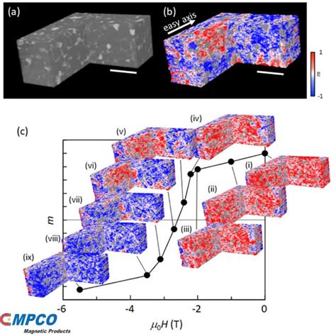 Magnetic Domain Dynamics Along The Magnetic Hysteresis Curve Inside