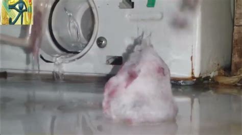 غسالة ملابس اريستون و حل مشكلة ايرور 5 Code 5 Mp4 Youtube