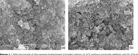 Figure 1 From Adsorption Behavior Of Activated Carbon Derived From Pyrolusite Modified Sewage