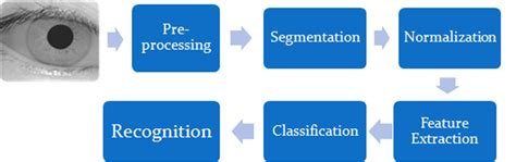 flowchart of the iris recognition download scientific diagram