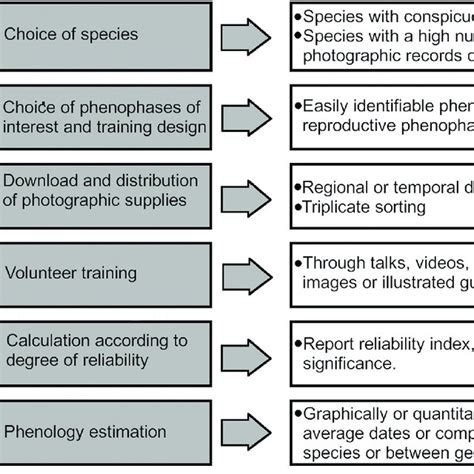 Flowchart Followed To Generate The Phenology Of Species From Records Of