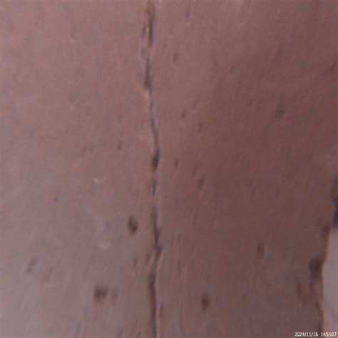 Raw Crack Yolo Instance Segmentation Dataset By Yolo11uw