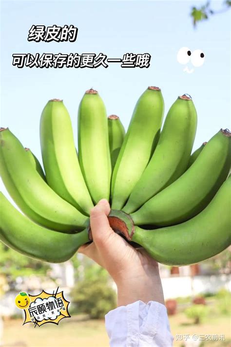 辰颐物语云南威尼斯香蕉绿皮香蕉自然熟更香甜 知乎