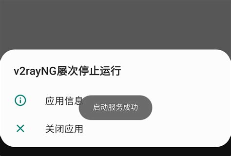 “flow”项也应为可填写选项 · Issue 648 · 2dustv2rayng · Github
